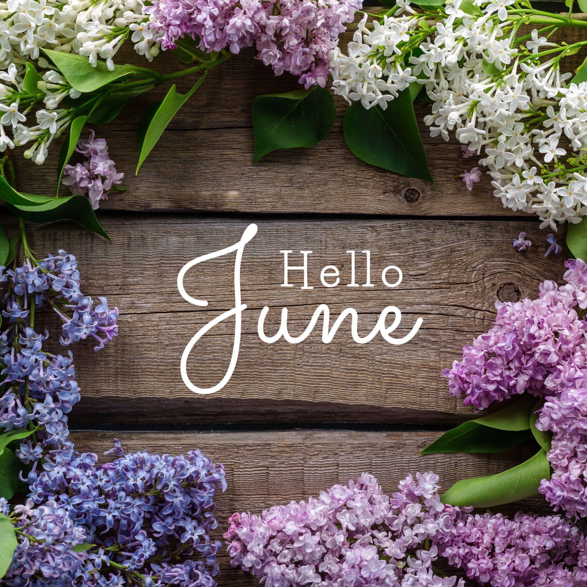 Pisces Weekly Horoscope • Jessica Adams: Psychic Astrologer